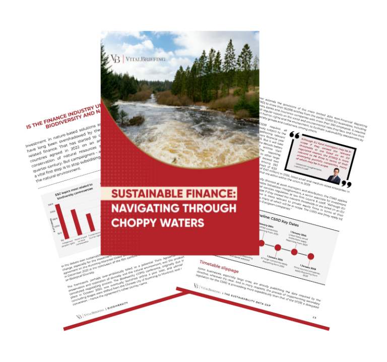 Sustainable Finance: Navigating Through Choppy Waters - VitalBriefing